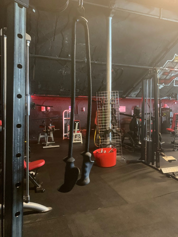 Tri-Grips Long Ropes | Tricep ERGO Handles – GymPin